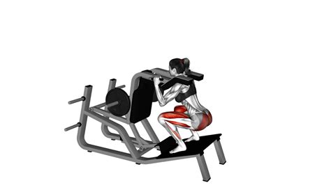 Lever Reverse Vertical Hack Squat Exercise Guide And Tips