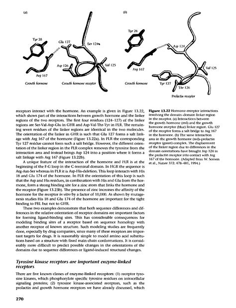 Linker Region Big Chemical Encyclopedia