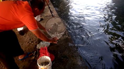 Cuma Menggunakan Alat Ini Bapak Tersebut Bisa Menangkap Ikan Dengan