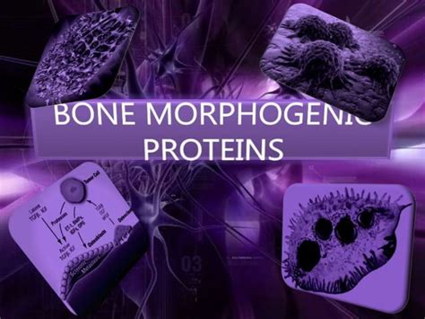 Role Of Bone Morphogenic Proteins In Periodontologypptx