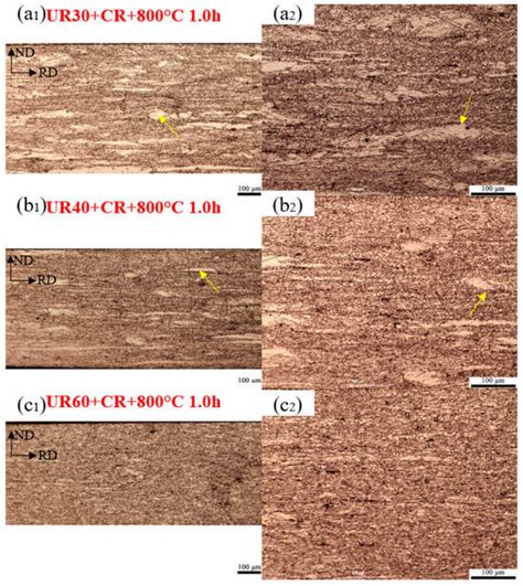 Metals Free Full Text Microstructure Evolution Of Alloy 800h During Cold Rolling And