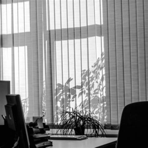 Vertical Blinds Maintenance Tips Scorpio