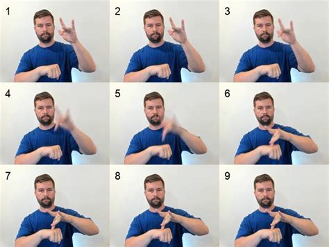Touch Asl Dictionary