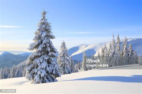 장엄한 겨울 풍경입니다 눈으로 덮인 잔디밭에는 서리가 내린 날에 눈송이가 쏟아져 서 있습니다 높은 산과 숲의 아름다운 풍경 배경 화면 배경 화면입니다 0명에 대한 스톡 사진