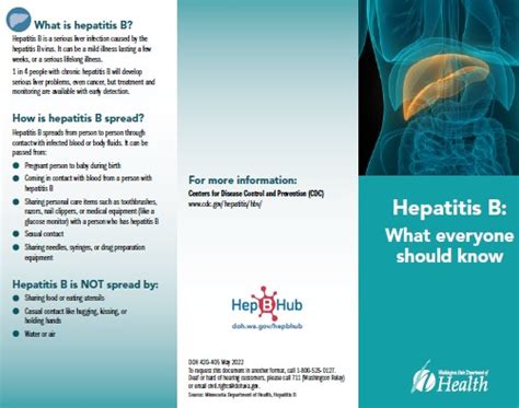 Hep B Hub Washington State Department Of Health