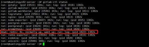 解决一次gitlab因异常关机导致启动失败 jerrymouseli 博客园