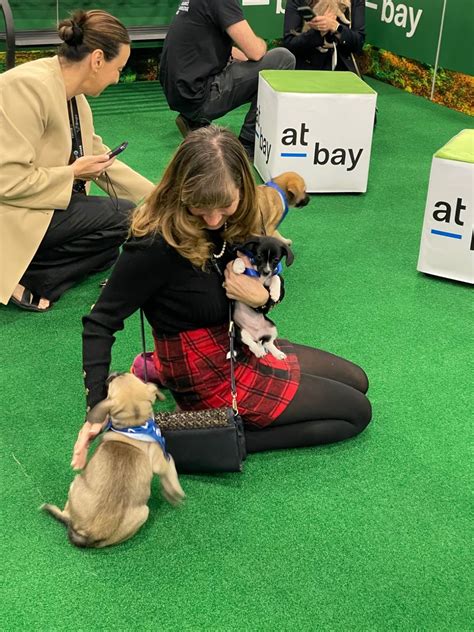 Itc2023 Karen Imbrogno