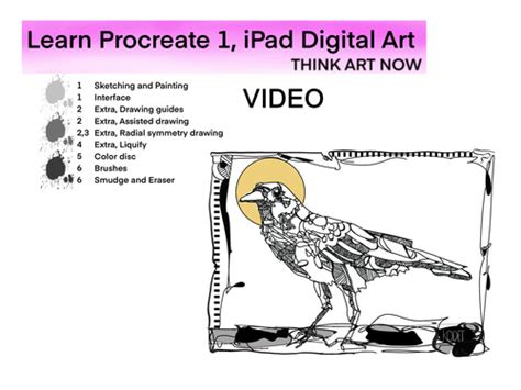 Learn Procreate Video Tips Interface Drawing Guides Etc Think Art Now