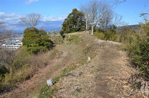 「北条氏規」今川での人質生活の経験を生かし、外交で活躍した北条御一門衆 戦国ヒストリー