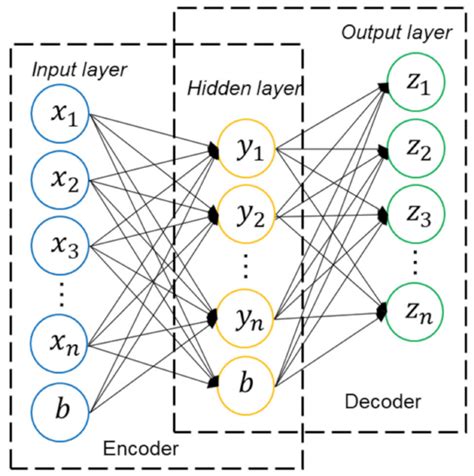 The Network Structure Of Autoencoder Download Scientific Diagram
