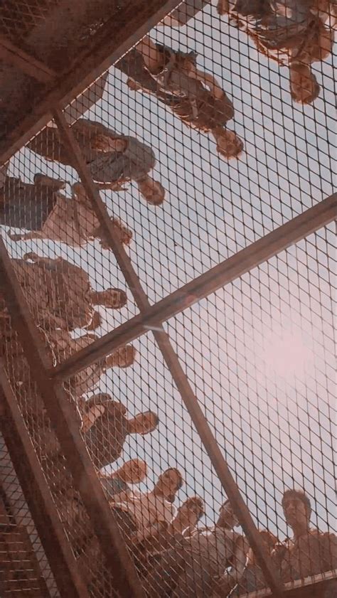 Mazerunnerwallpaper In Maze Runner Movie Maze Runner Trilogy Maze Runner Thomas