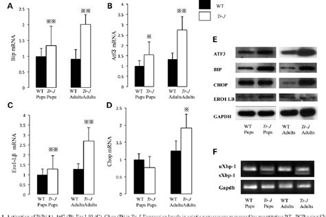 Table 1 From Curcumin Facilitates A Transitory Cellular Stress Response