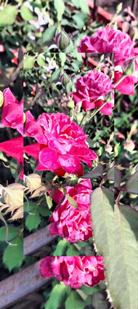 Asad Arain Posted On Linkedin