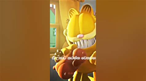 Garfild Cartoon Status Youtube