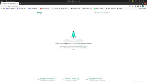 Python从入门到实践 Django项目示例（第一部分）you Are Seeing This Page Because Debugtrue Is In Csdn博客