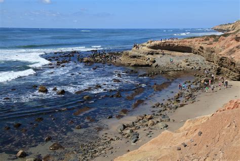 The Rocky Intertidal Zone Cabrillo National Monument Us National Park Service