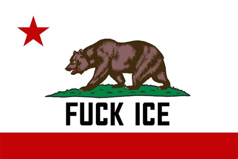 Fuck Ice Flag By Augustwolf22 On Deviantart