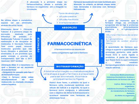 Mapa Mental Farmacocinética E Farmacodinâmica Braincp