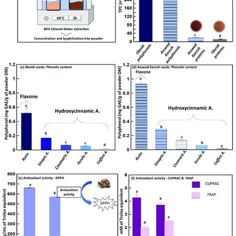 Proteins Extraction A Alkaline Extraction And Isoelectric