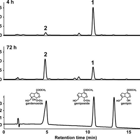 Hplc Profiles Of The Biotransformation Products Of Genipin By Cell