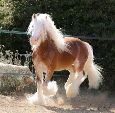 Create A Choices Stories You Play Books Tier List Tiermaker