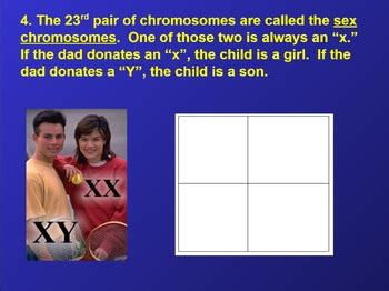 Human Inheritance PowerPoint Human Heredity For Middle Babe NGSS MYP