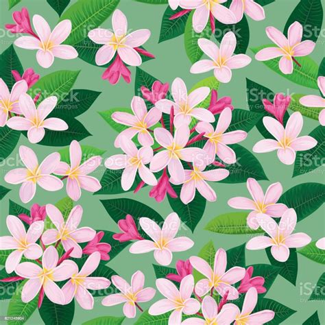 열 대 Plumeria 꽃 및 잎 녹색 배경에 완벽 한 패턴입니다 0명에 대한 스톡 벡터 아트 및 기타 이미지 0명 결혼식 공휴일 Istock