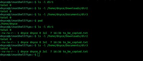 how to copy a file to multiple directories on linux