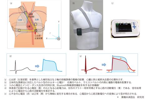 生体音と心電信号の新たな計測と解析の技術──パーソナル心臓モデリングによる心疾患の早期発見・リハビリ応用に向けて｜ntt Randd Website