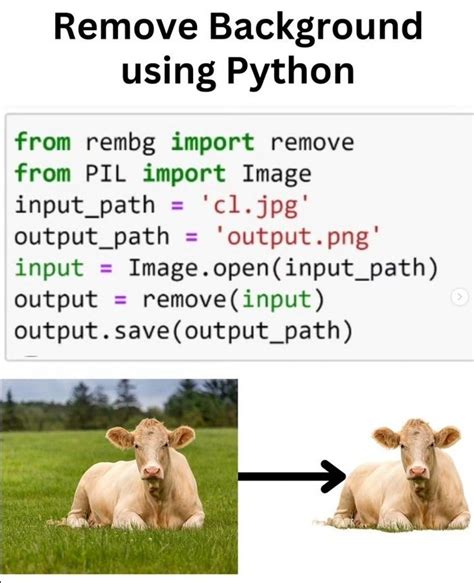 Suwandi Hartono On Linkedin Remove Background Using Python