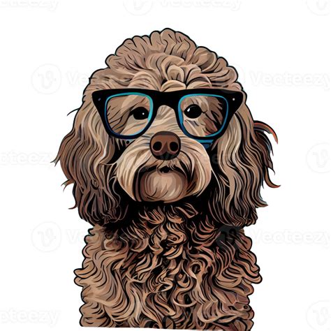 Cockapoo Dog 23356746 Png