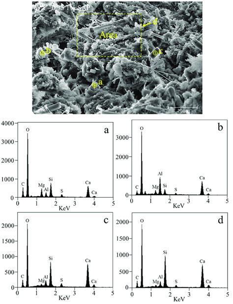 The Eds Analysis Of The Samples With The W C Ratio Of 0 35 At 28 D A Download Scientific