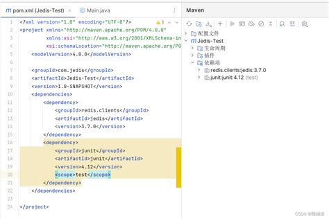 redis基础 java客户端应用 java redis client csdn博客