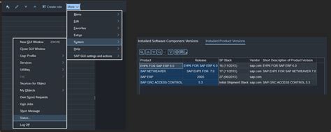 Sap Versions Sap Basis Tech Info Site