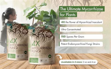 4oz 4x Mycorrhizae For Plants Mycorrhizal Inoculant