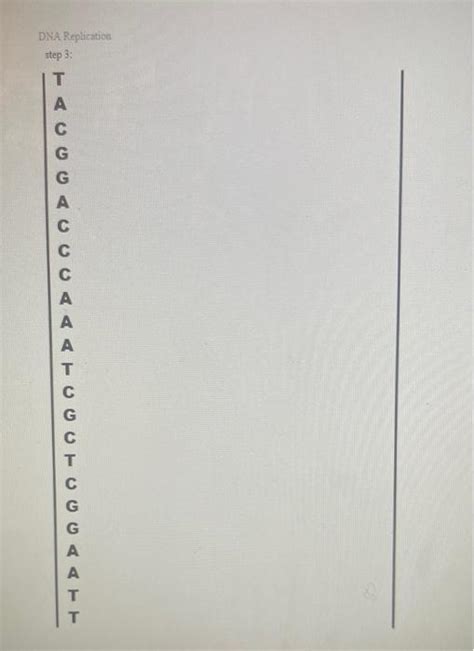 dna replication t a c g a c c c a a a t