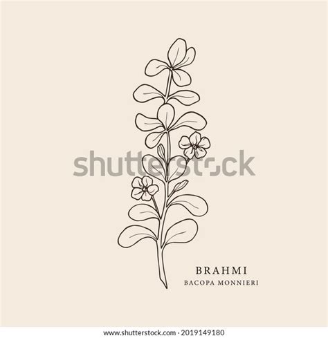 297 Brahmi Stock Vectors And Vector Art Shutterstock