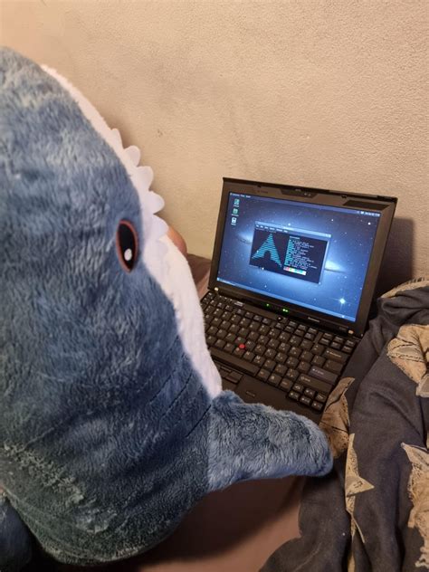 this is the average arch linux user r blahaj