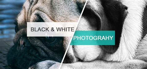 Photoshop Automation Using Javascript Series By Rishabh Gupta Medium