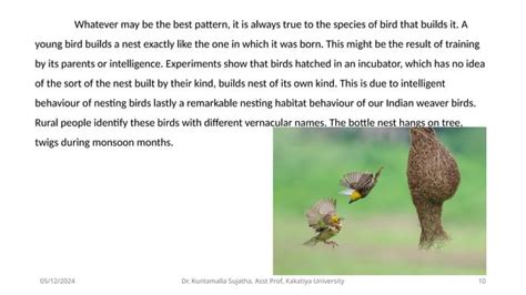 Types Of Nesting S Different Types Of Nests Pptx