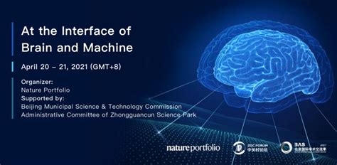 Tu Graz Computer Scientist Wolfgang Maass Is Working On Energy Efficient Ai Systems Inspired By