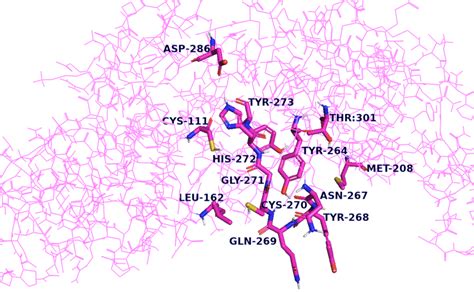 Binding Site Amino Acid Residues In Stick Form Of Pl Pro Download