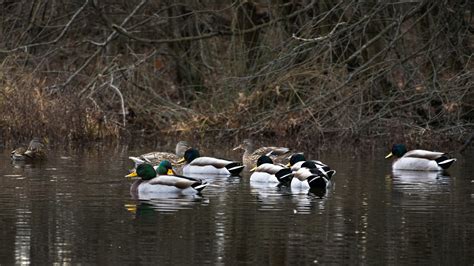 Descubre El Significado De La 1616 Hora Espejo