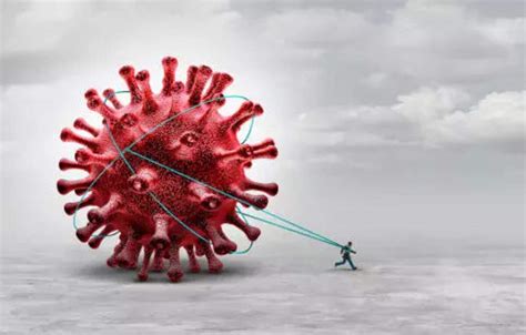 Five More Samples Test Negative For Nipah Virus In Kerala Health News