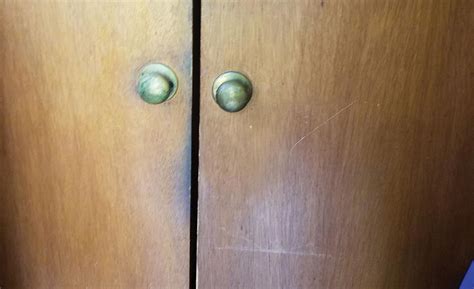 Myths And Facts Behind C Diff And How To Clean It 2019 11 06 Restoration And Remediation Magazine