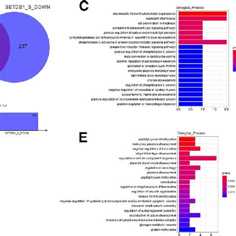 The Bioinformatics Analysis Data A The Degs Setdb1g Overexpression