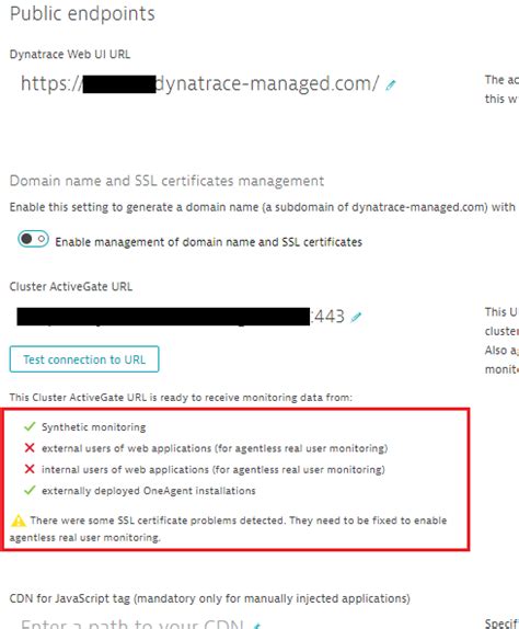 Solved Certificate Issue When Configuring Cluster Activegate