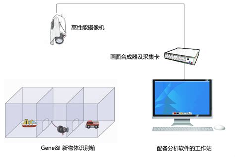 新物体识别实验分析系统 性能参数，报价 价格，图片 中国生物器材网