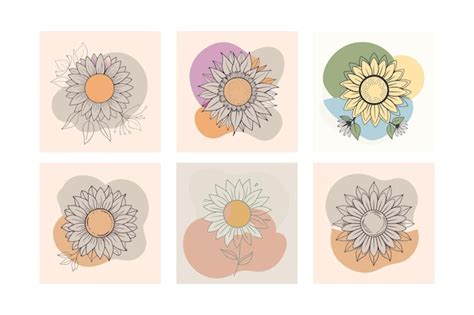 Sunflower Silhouette Vector Design Labeled Color Blobs Vector