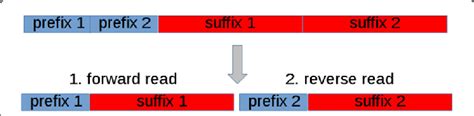 de merging paired end reads after that duplicates have been removed